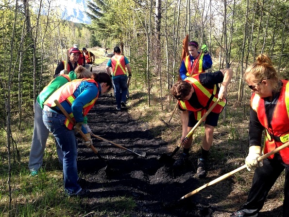 Environmental volunteer opportunities / volunteer positions | GoodWork ...