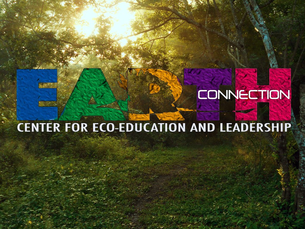 Environmental volunteer opportunities / volunteer positions | GoodWork ...