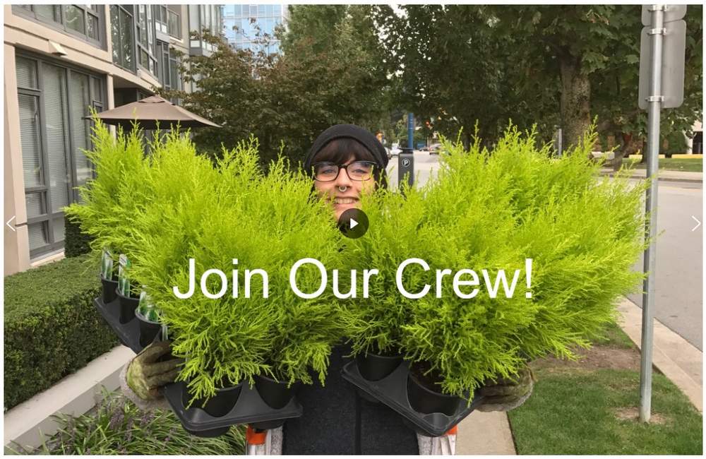 Environmental Jobs, Green Jobs, Conservation Jobs | GoodWork.ca