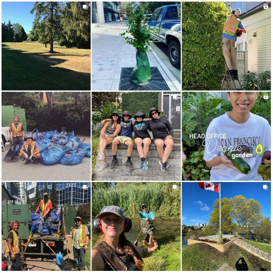 Environmental Jobs, Green Jobs, Conservation Jobs | GoodWork.ca