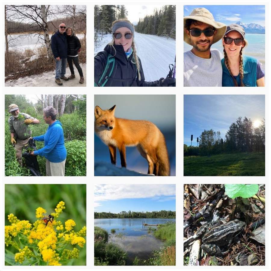 Environmental Jobs, Green Jobs, Conservation Jobs | GoodWork.ca