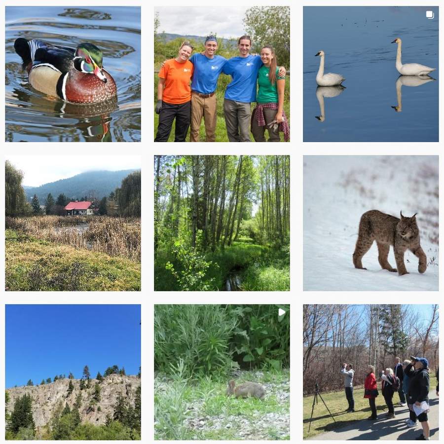 Environmental Jobs, Green Jobs, Conservation Jobs | GoodWork.ca