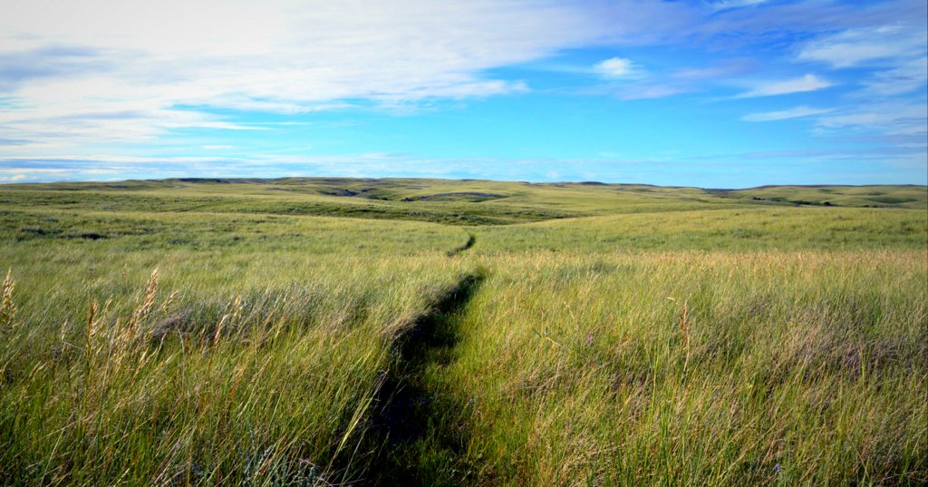 Manager, full-time, Saskatchewan Prairie Conservation Action Plan ...