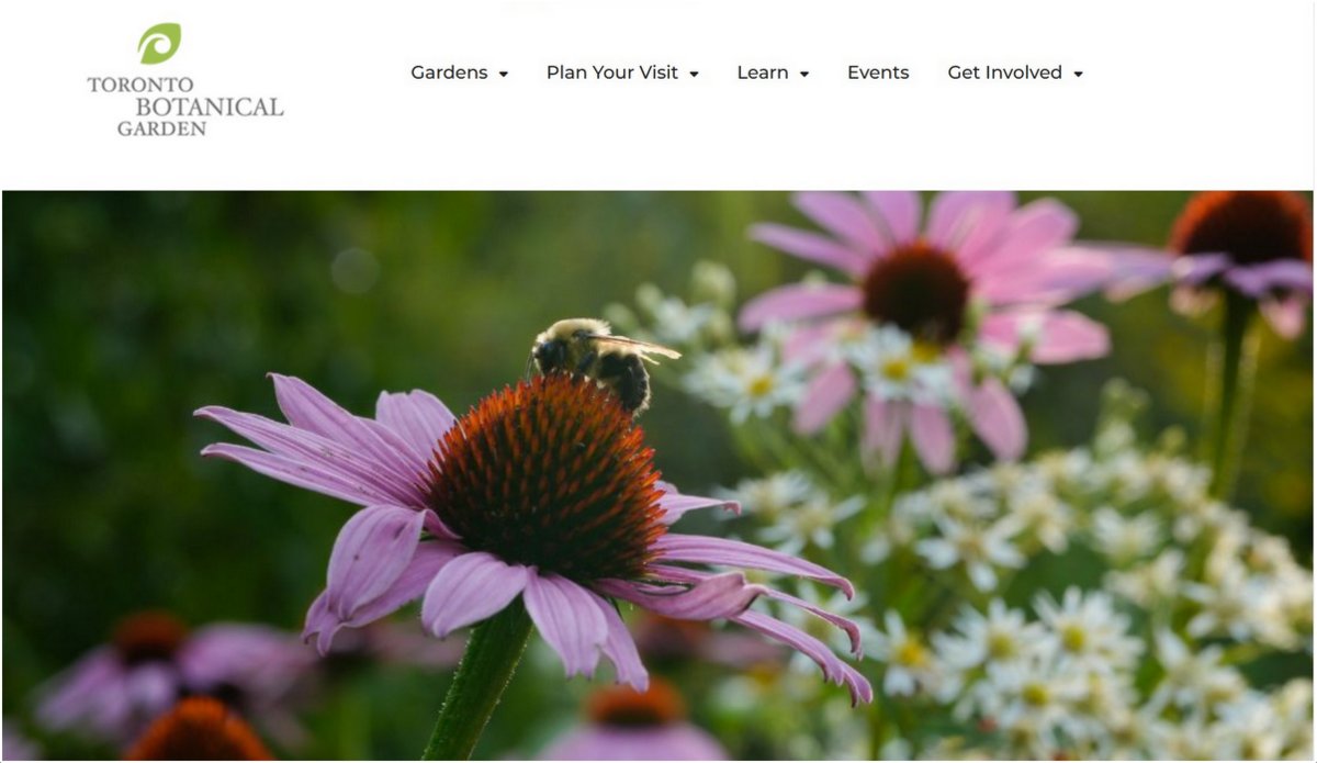 Volunteer Management and Volunteer Coordinator jobs