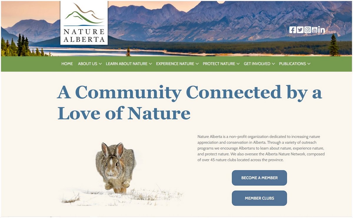 Nature Kids Coordinator, full-time, Nature Alberta, Edmonton, Alberta