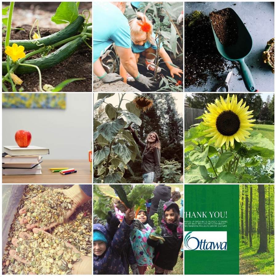 Environmental Jobs, Green Jobs, Conservation Jobs | GoodWork.ca