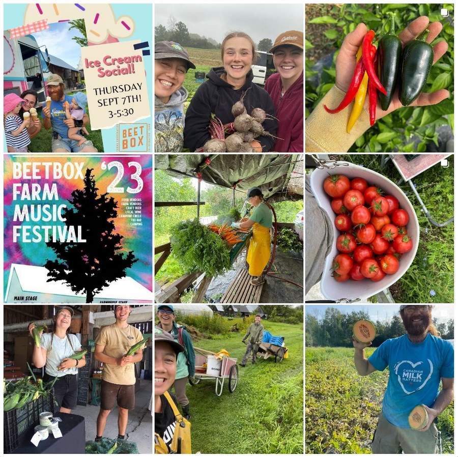 Environmental internships | GoodWork.ca/internships