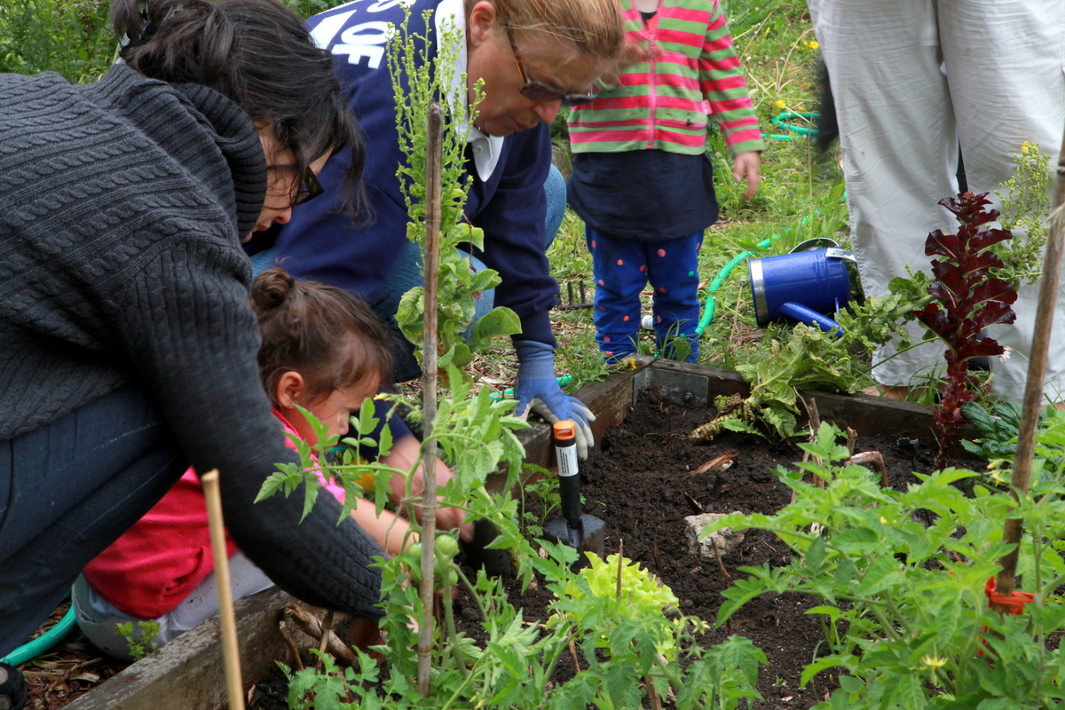 Grow food,, — Grow your own, anywhere. Learn how, tips, resources, plus ...