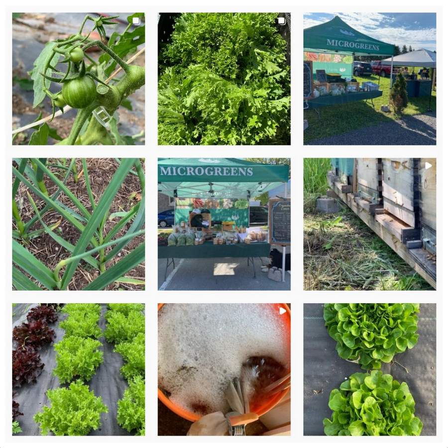 Environmental Jobs, Green Jobs, Conservation Jobs | GoodWork.ca