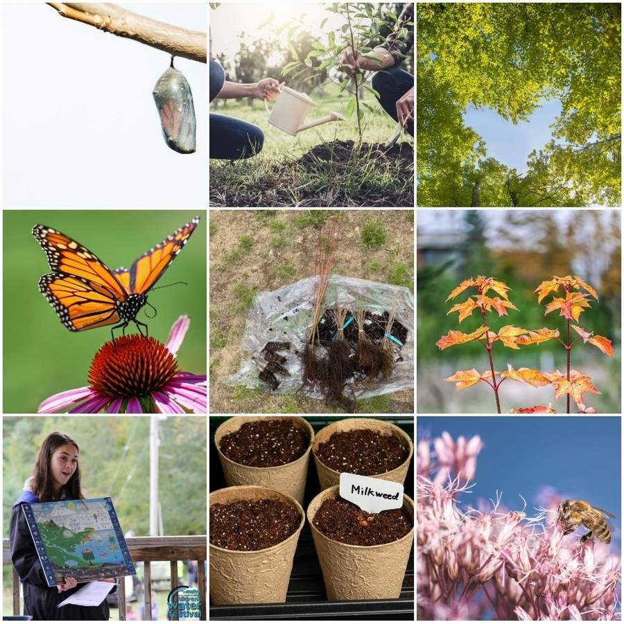 Environmental Jobs, Green Jobs, Conservation Jobs | GoodWork.ca